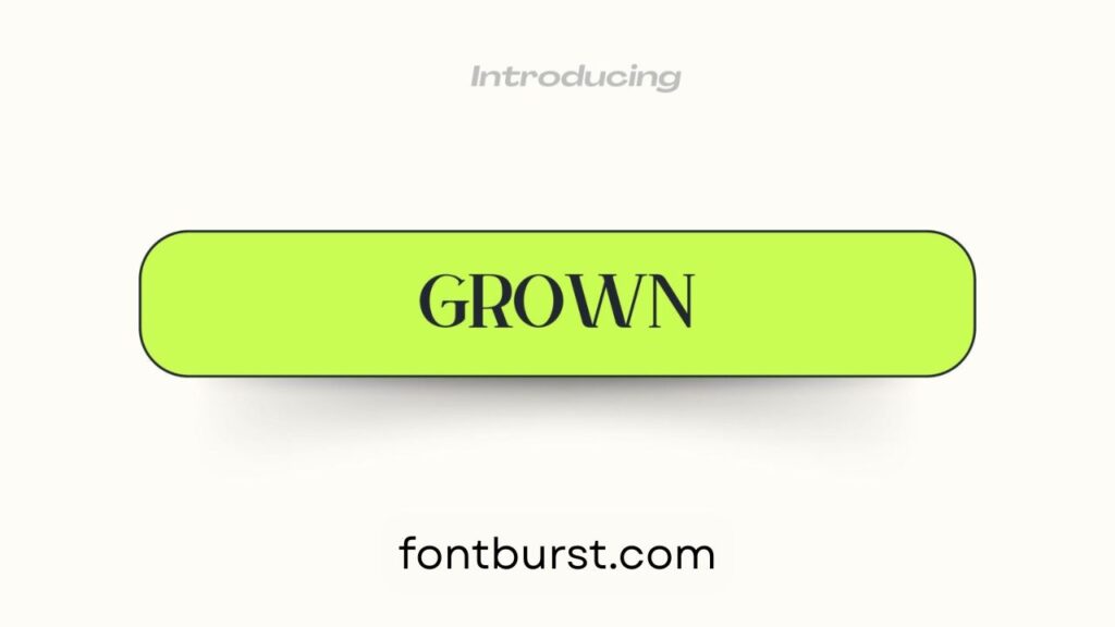 10 Tall Fonts in Canva - Font Burst