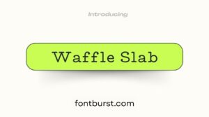 22 Best typewriter fonts in Canva for 2025 - Font Burst